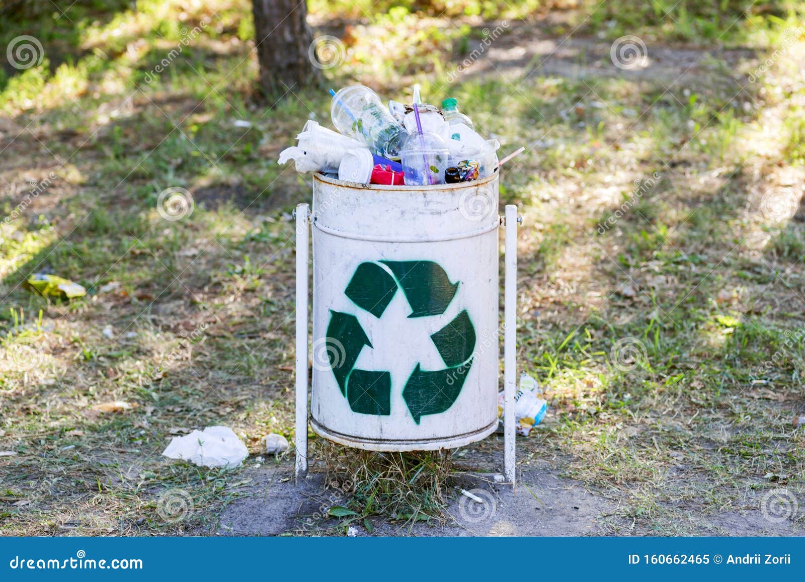 Overflowing Trash Bins in the Park. Dumpster Being Full with Garbage ...