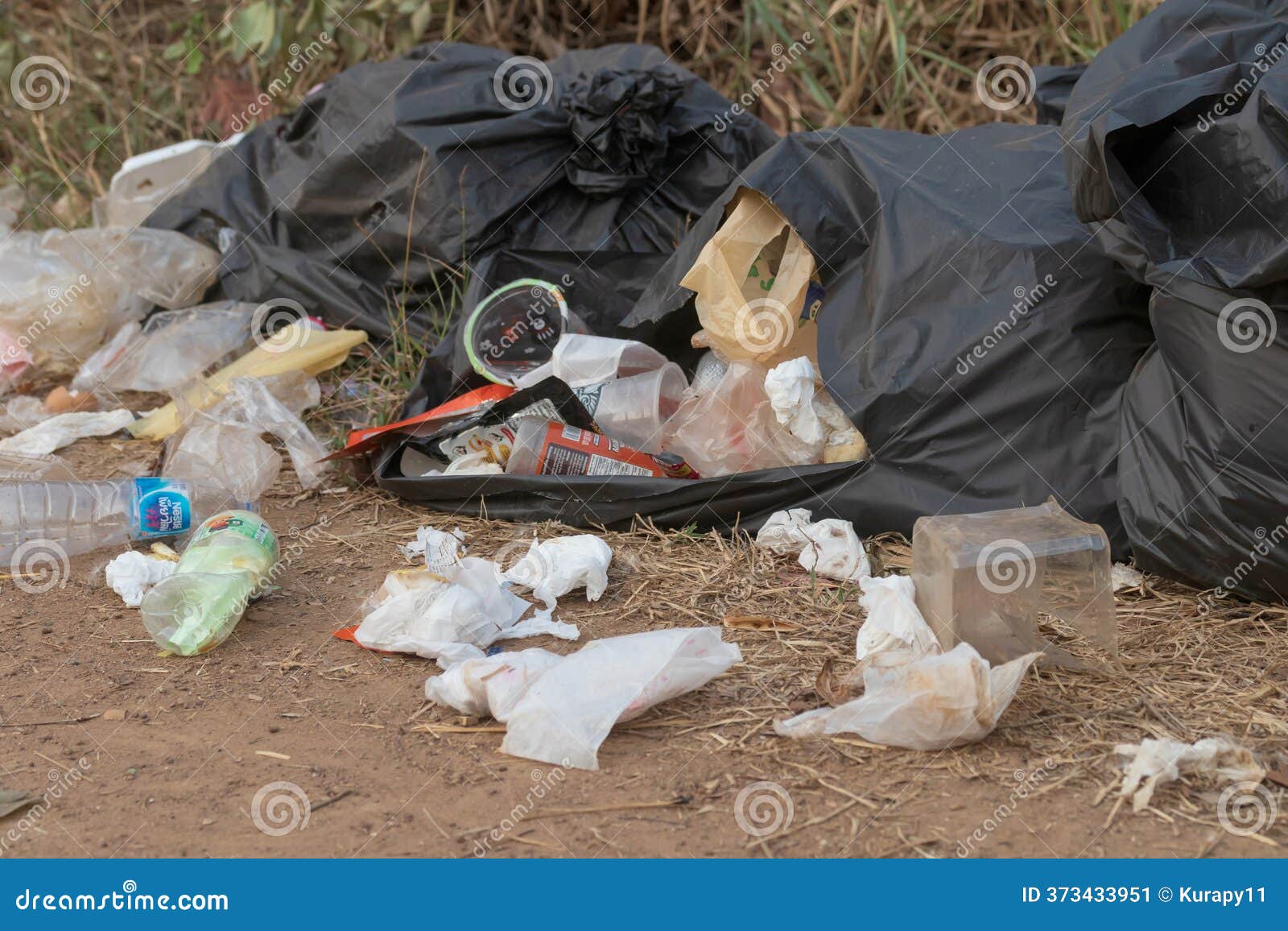 Overflowing Trash Can In A Park Editorial Photo | CartoonDealer.com ...