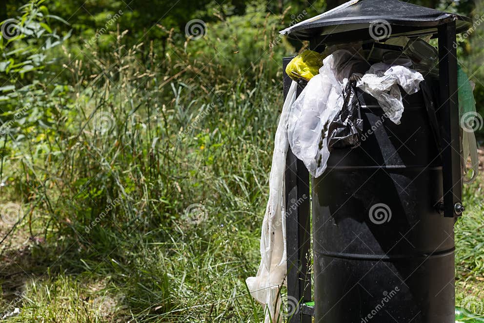 Overflowing Trash Can in Park Stock Photo - Image of problem, greenery ... Overflowing Trash Can in Park Stock Photo - Image of problem, greenery ...