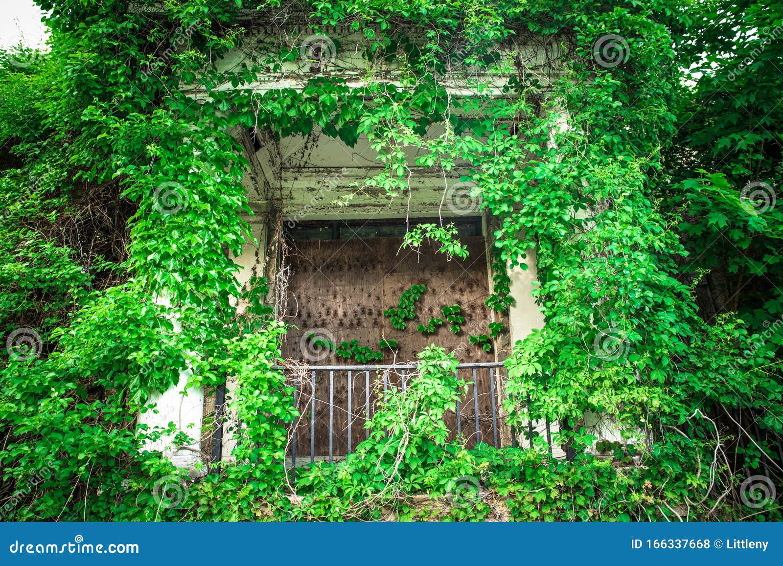 Old Overgrown Abandoned Ruined Industrial Building Stock Image ...