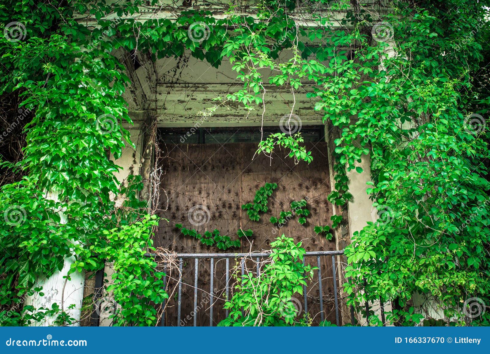 Overgrown Abandoned Building with Door Stock Photo - Image of greenery ...