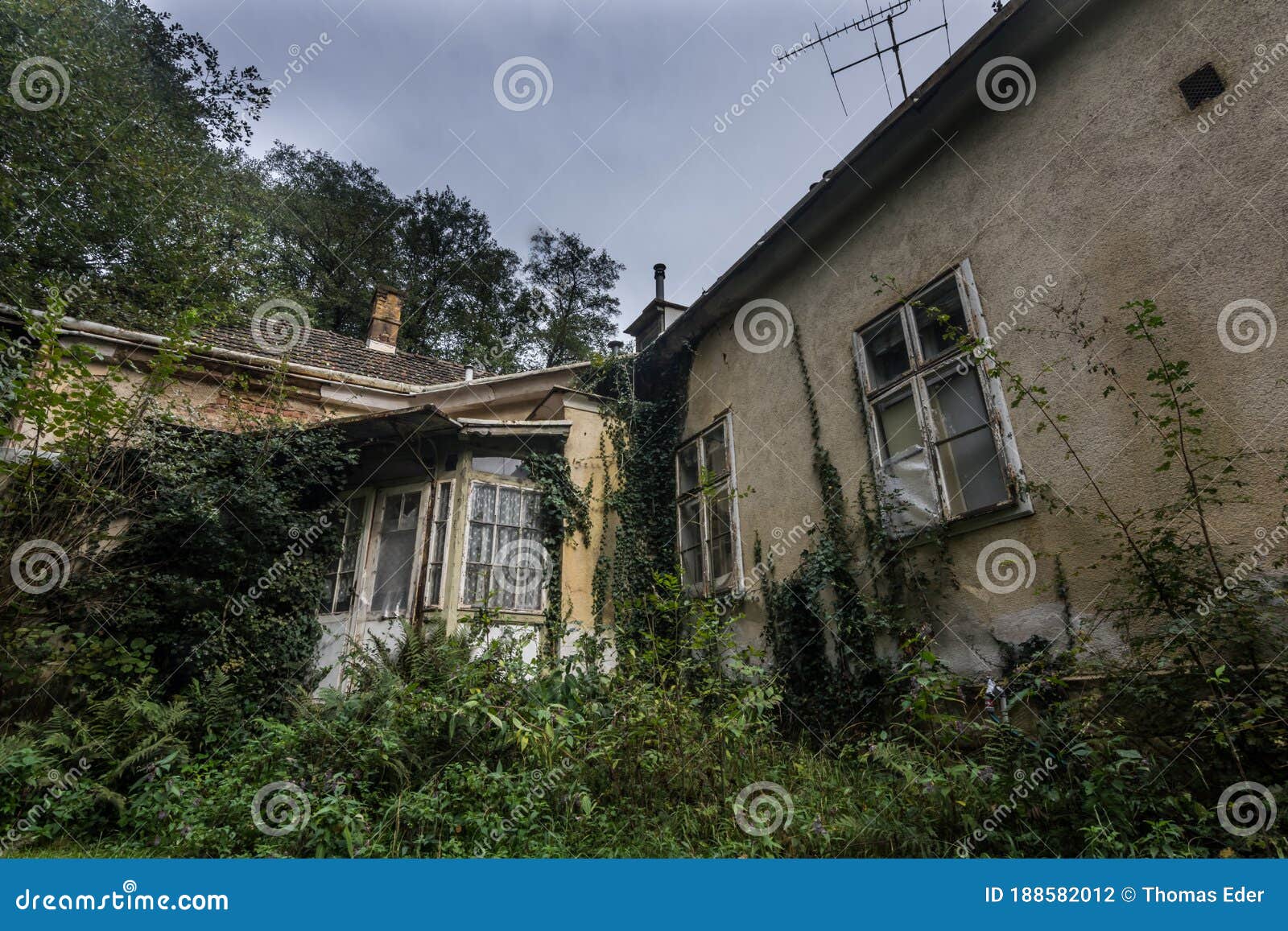 Overgrown Abandoned House in the Forest Stock Photo - Image of window ...