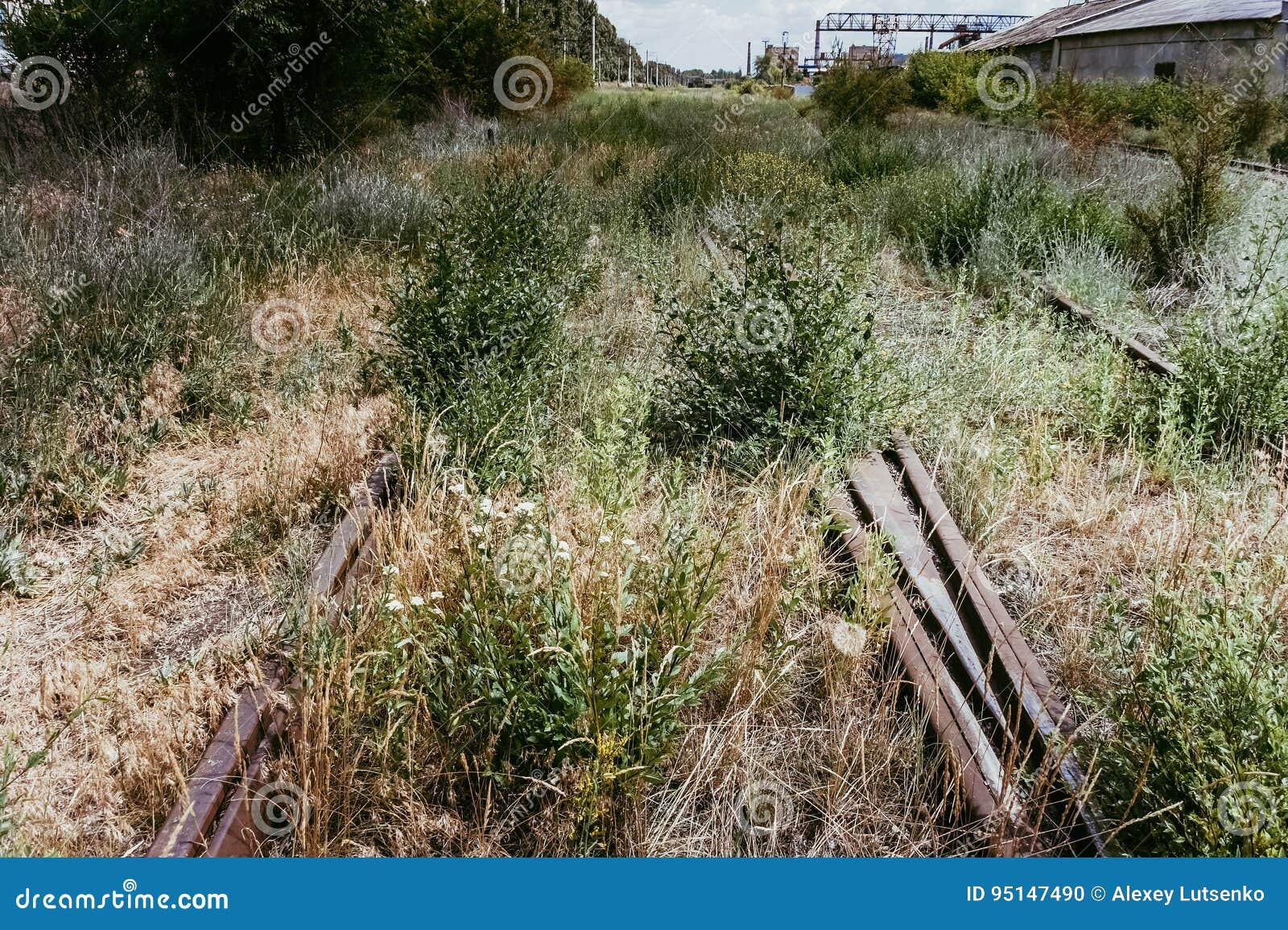 Overgrown Abandoned Railway Stock Photo - Image of rust, path: 95147490