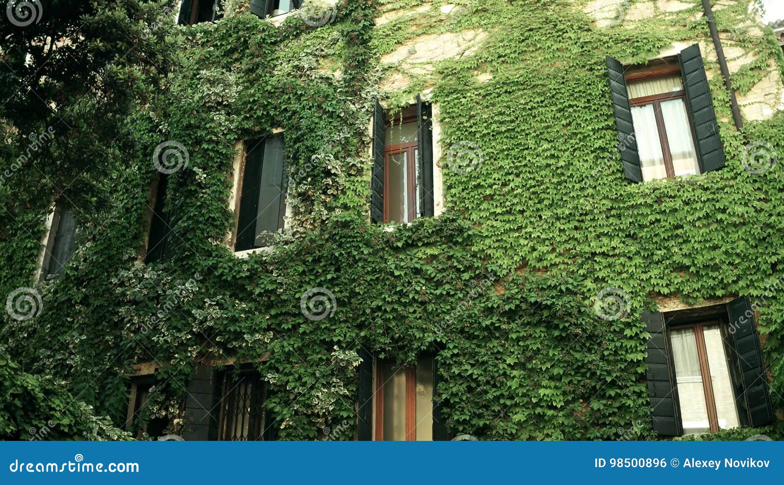 Overgrown Ancient Buildings in Venice, Italy Stock Photo - Image of ...