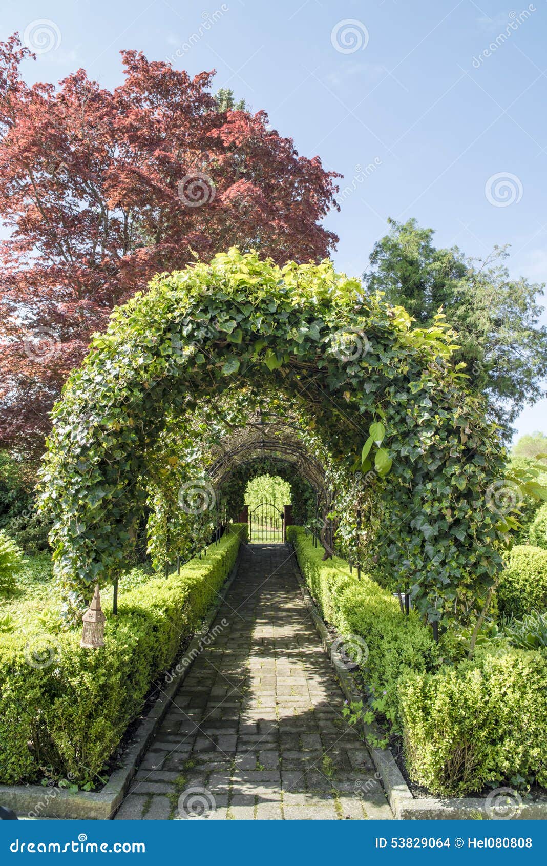 Path with overgrown arches stock photo. Image of overgrown - 53829064