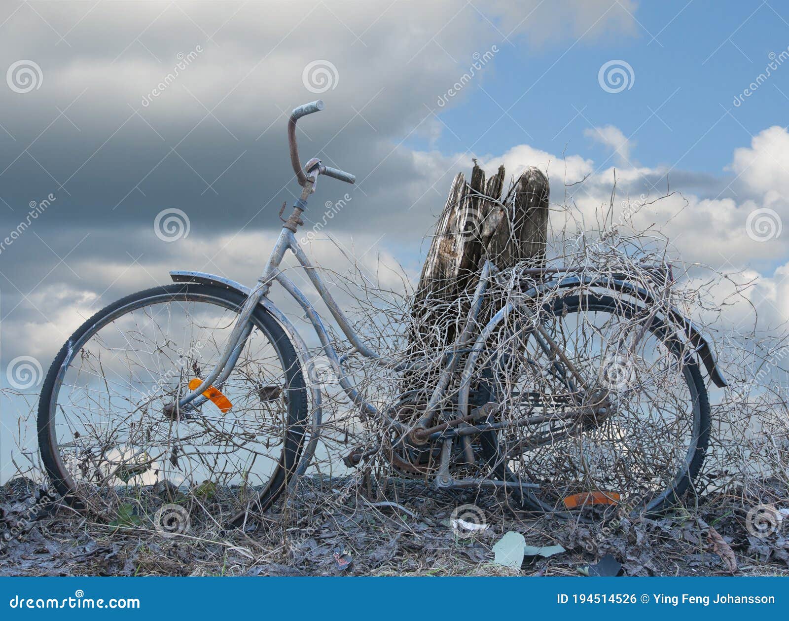Overgrown bicycle stock photo. Image of ecology, bike - 194514526