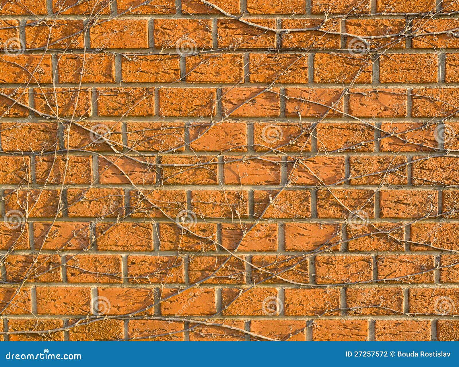 Overgrown brick wall stock photo. Image of frame, concrete - 27257572