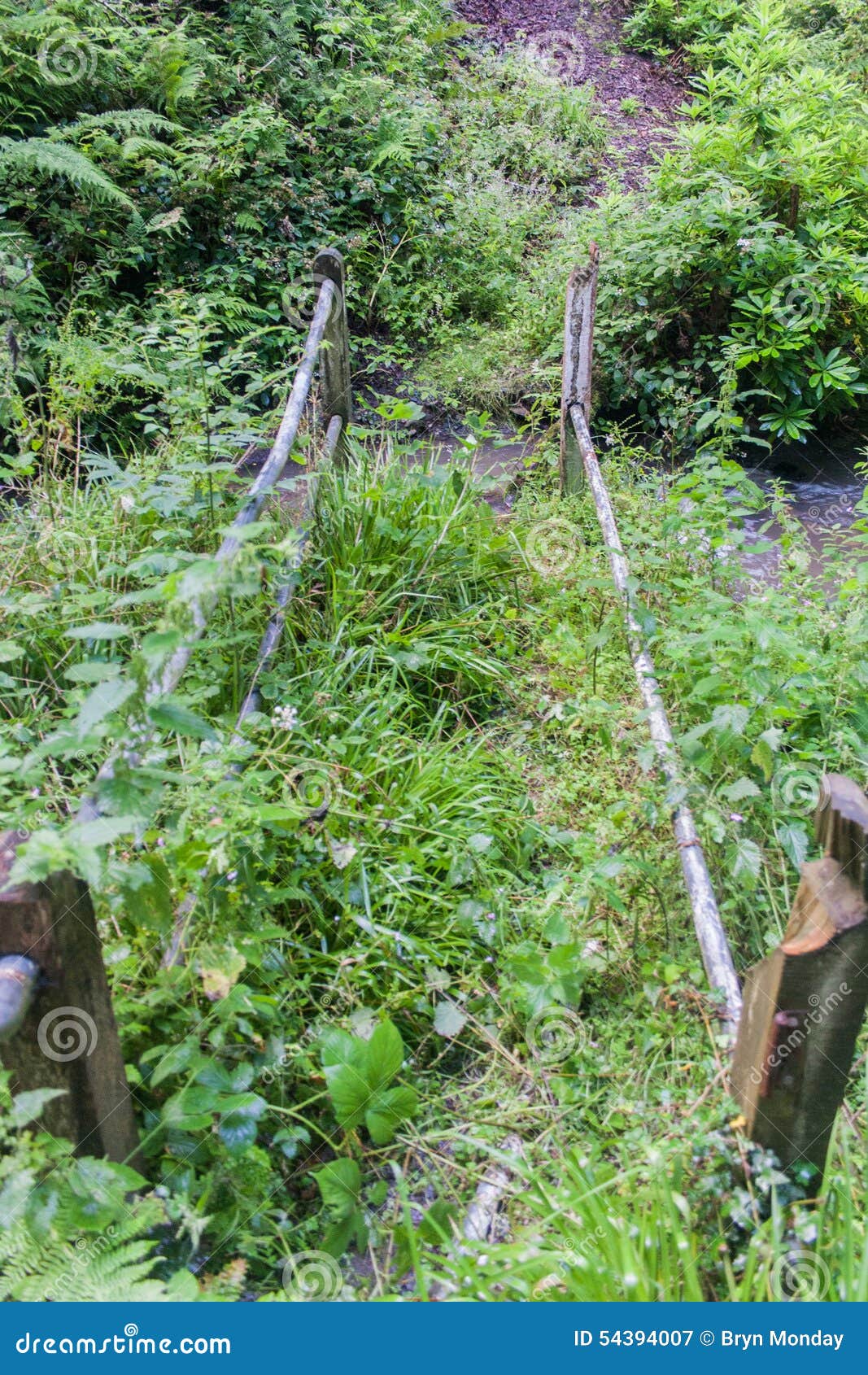 Overgrown Broken Footbridge Stock Image - Image of footpath, water ...