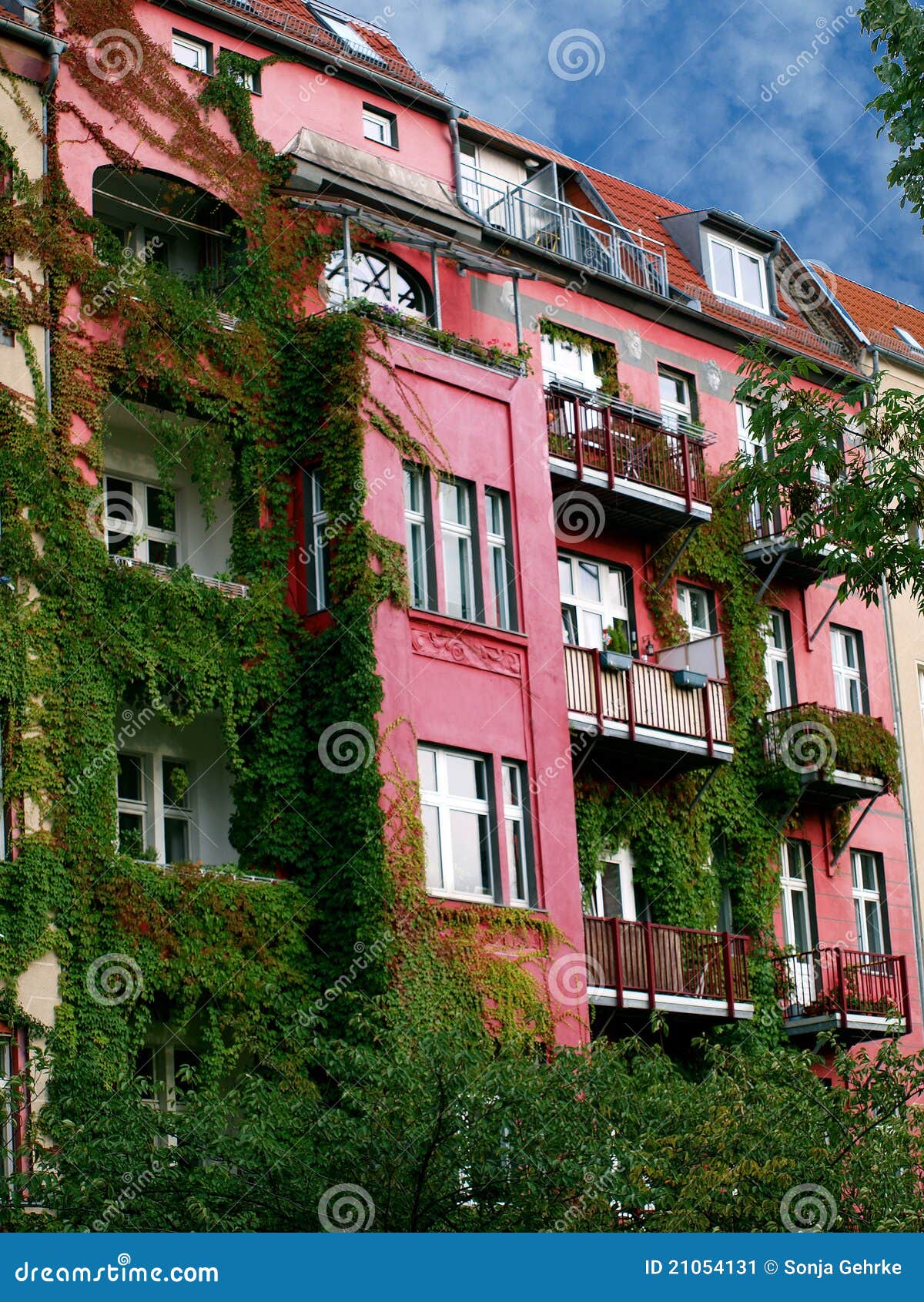 Overgrown building stock image. Image of road, berlin - 21054131