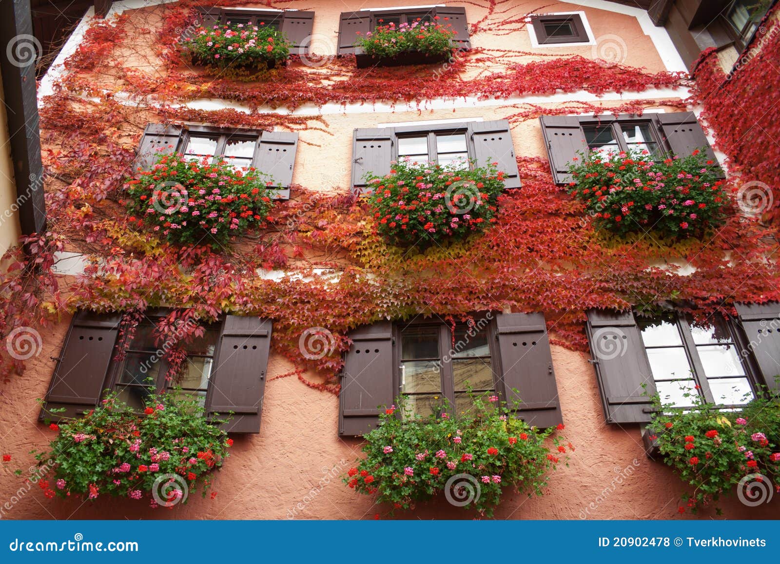 Overgrown building facade stock photo. Image of vintage - 20902478