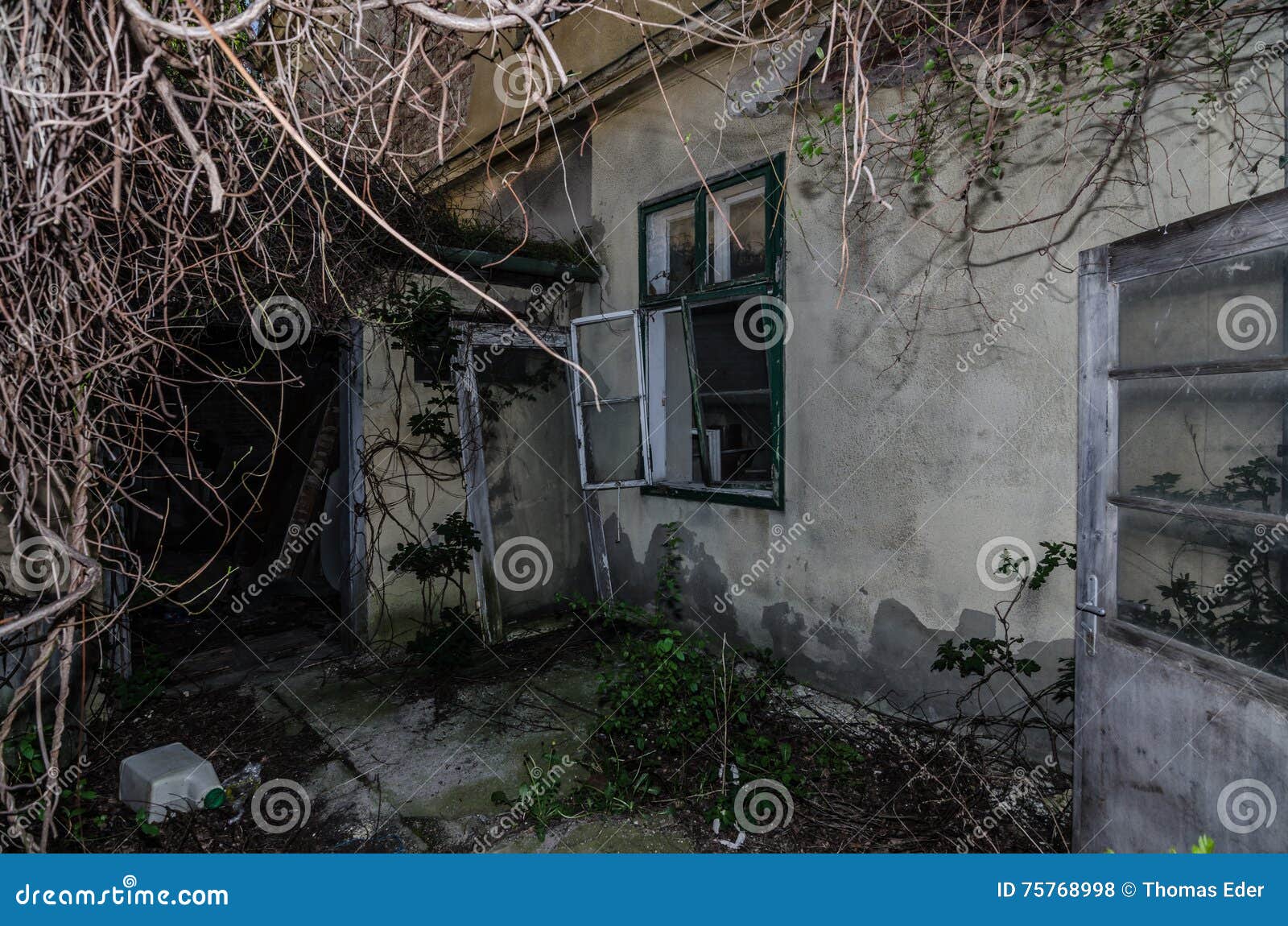 Overgrown building stock photo. Image of environmental - 75768998