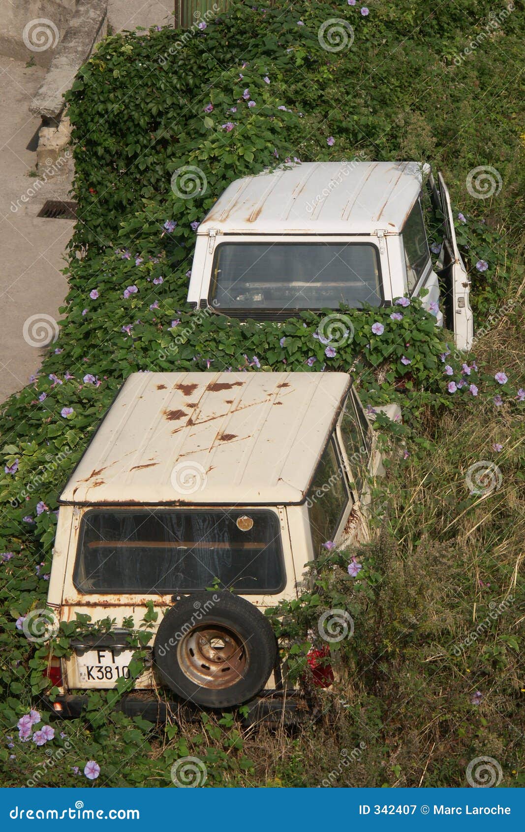 Overgrown cars stock image. Image of hazard, abandoned - 342407