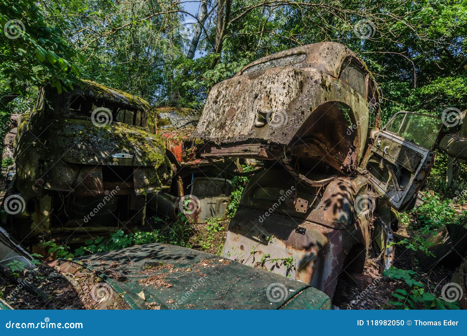 Overgrown Cars in the Forest Stock Photo - Image of mechanics, classic ...