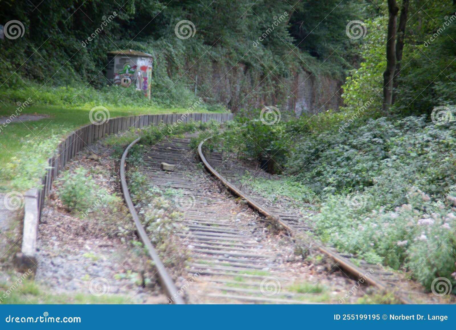 Overgrown Disused Railway Line Stock Image - Image of line, sills ...