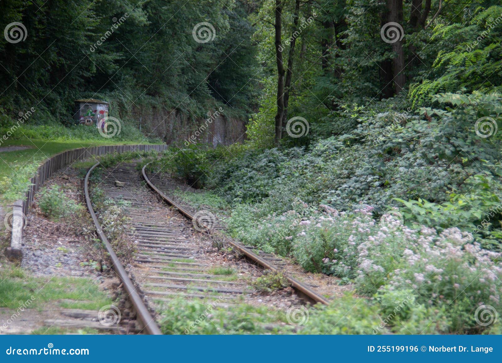 Old Overgrown Disused Railway Tracks. Royalty-Free Stock Photography ... Old Overgrown Disused Railway Tracks. Royalty-Free Stock Photography ...