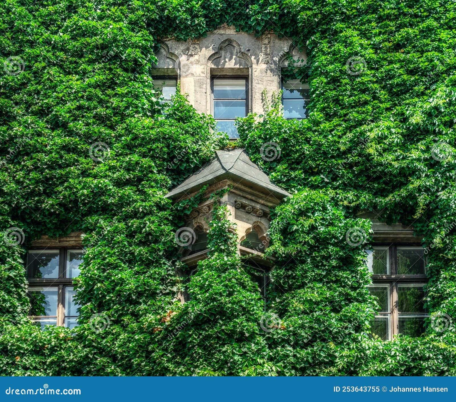 Overgrown Facade of an Old Building in Sunlight Stock Image - Image of ...