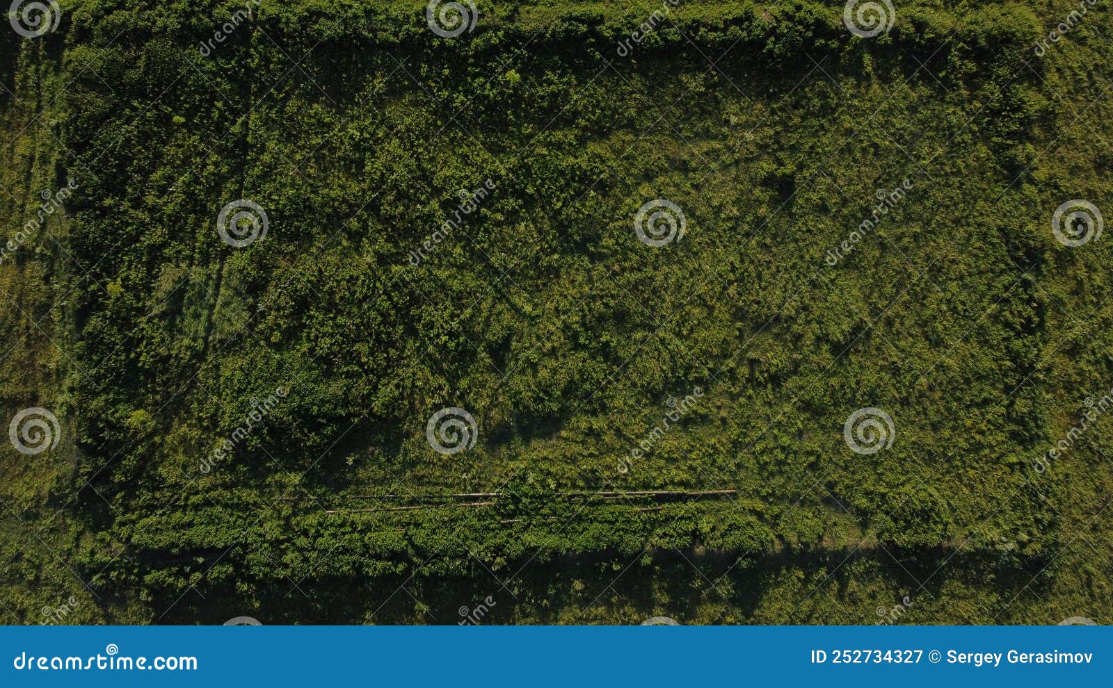 Overgrown Fence in a Field of Weeds Top View Stock Image - Image of ...