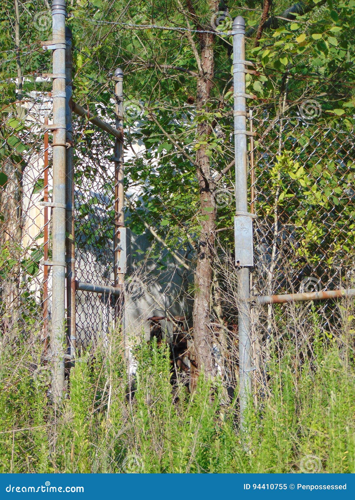 Overgrown Fence stock image. Image of fence, hidden, metal - 94410755
