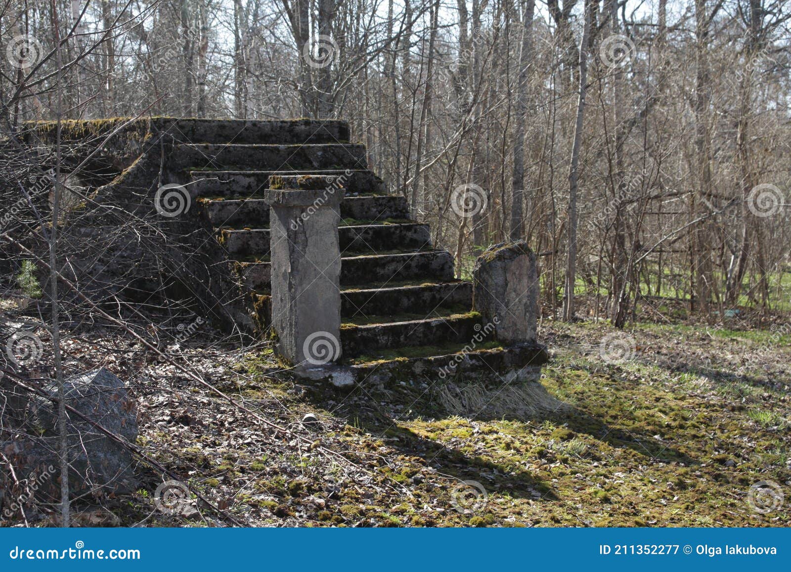 Old Foundation and Stairs in the Forest Stock Image - Image of rock ...