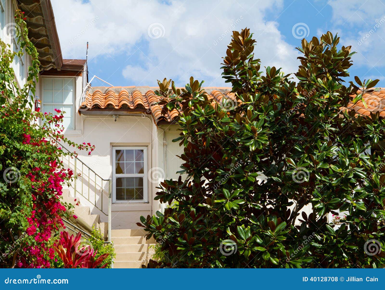 Overgrown front yard stock photo. Image of clouds, fire - 40128708