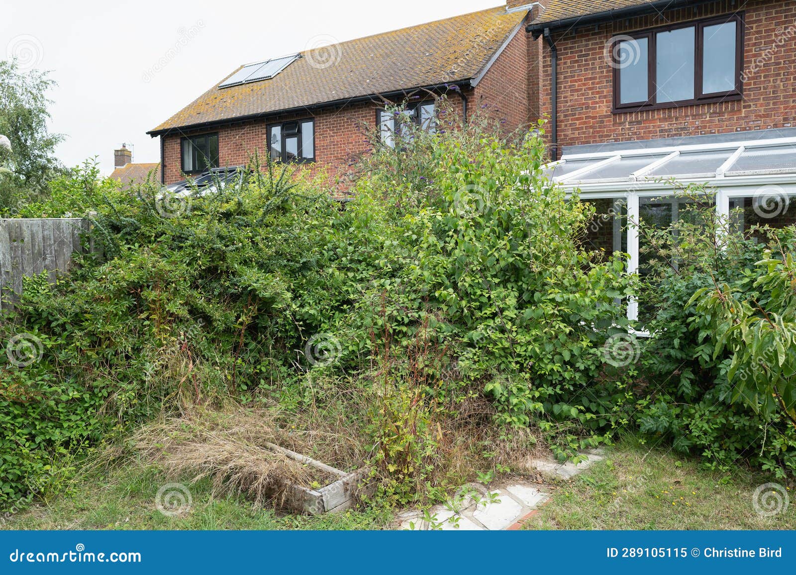 Overgrown Garden or Yard in Front of a Conservatory Stock Image - Image ...