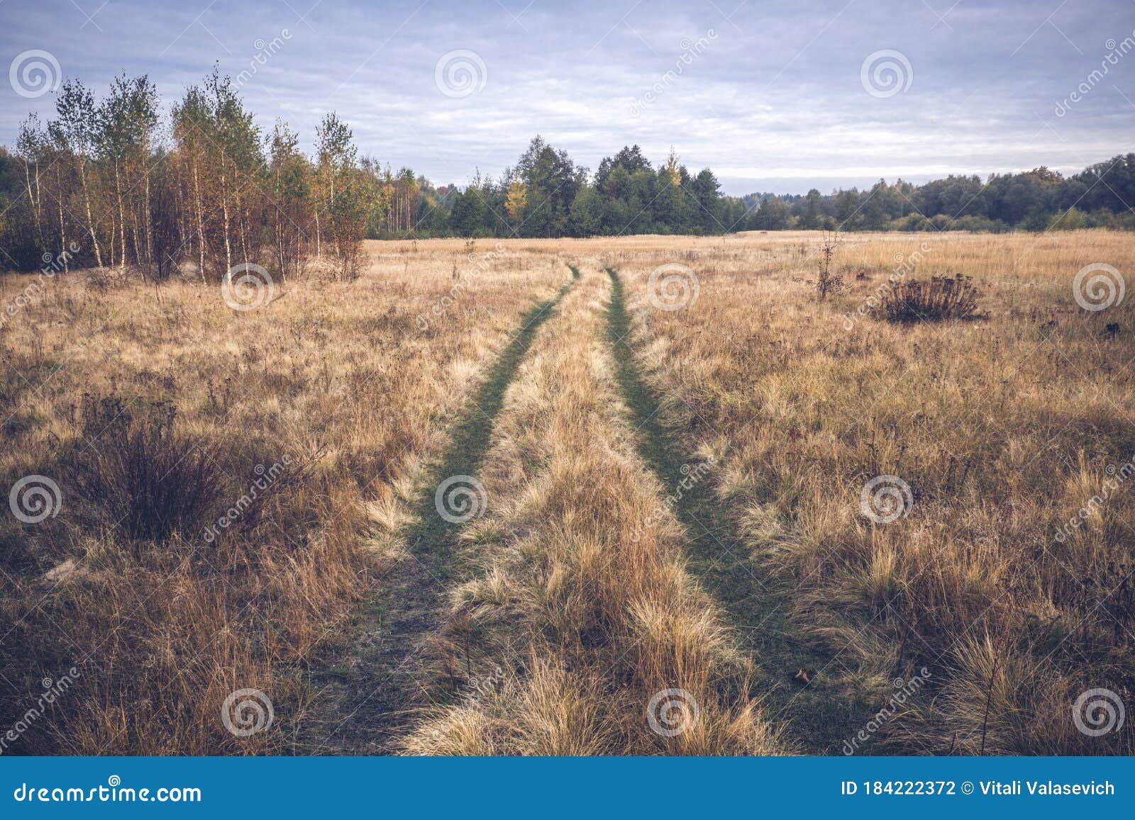 Overgrown with Grass Track in an Autumn Field Stock Photo - Image of ...