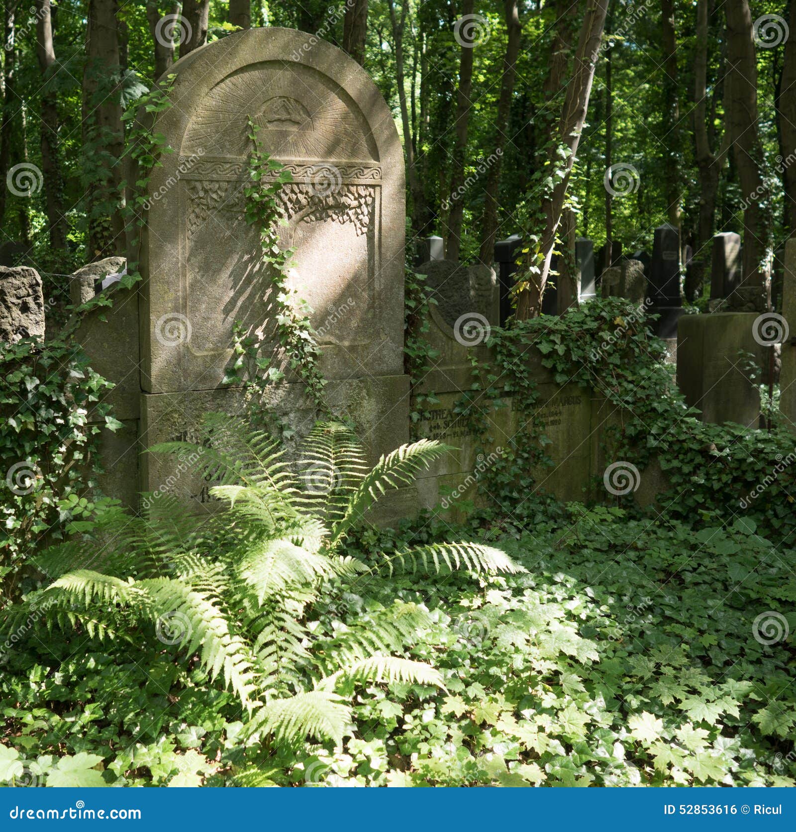 Overgrown Grave Stone in a Cemetery Stock Photo - Image of overgrown ...