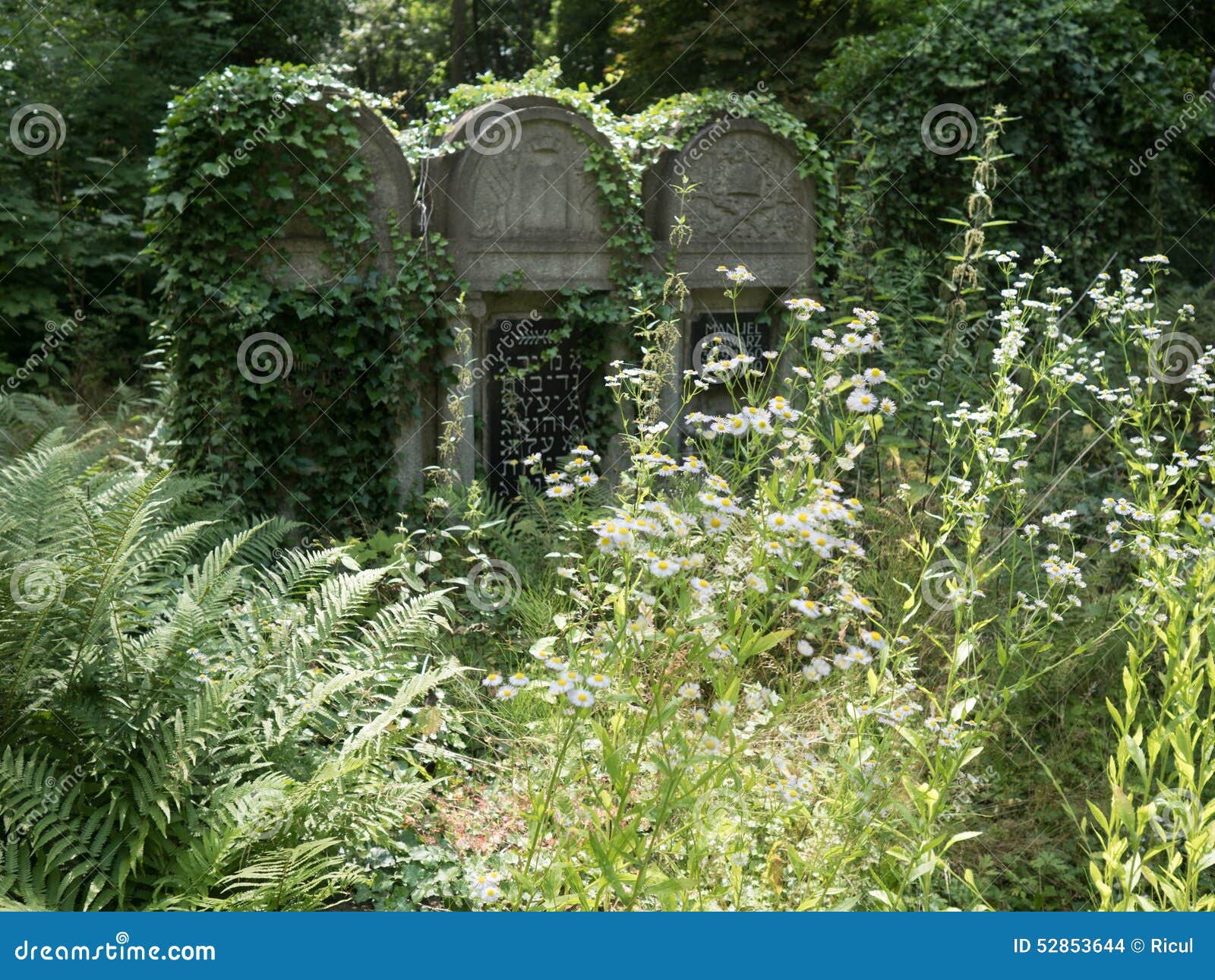 Overgrown Grave Stone in a Cemetery Stock Photo - Image of religion ...