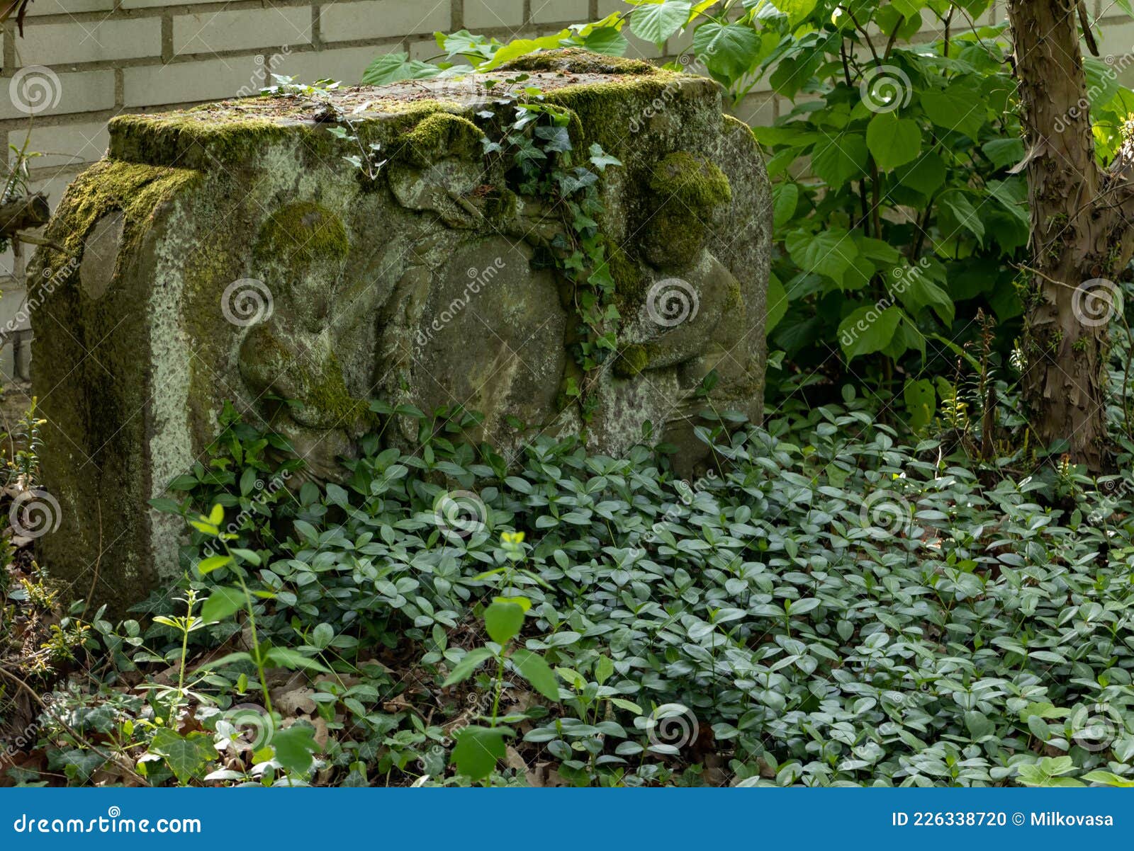 Overgrown Grave with a Tombstone in the Cemetery Stock Photo - Image of ...