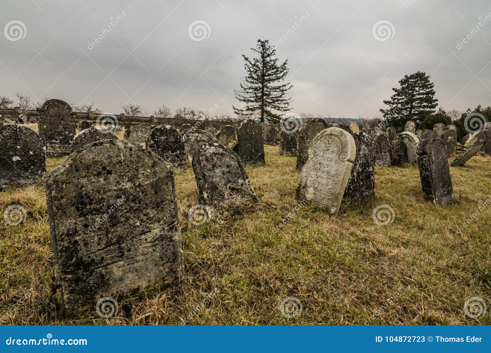 Overgrown Gravestones in Cemetery Editorial Stock Photo - Image of ...