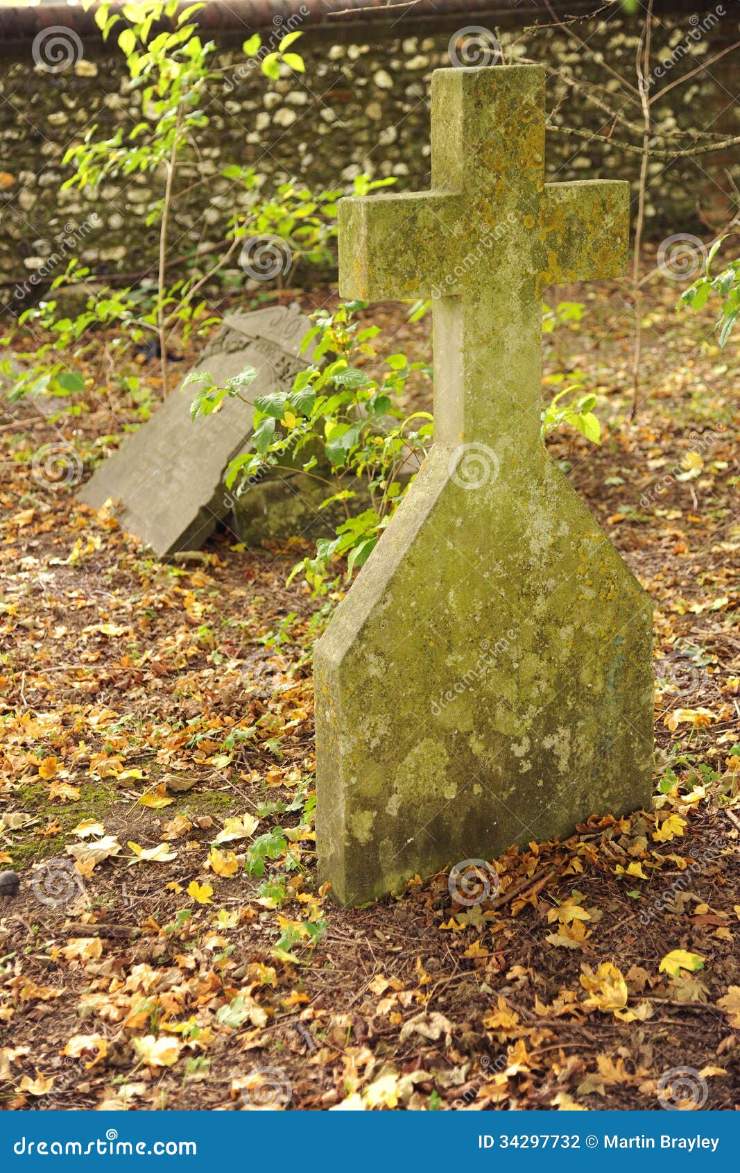 Overgrown graveyard stock photo. Image of death, leaves - 34297732