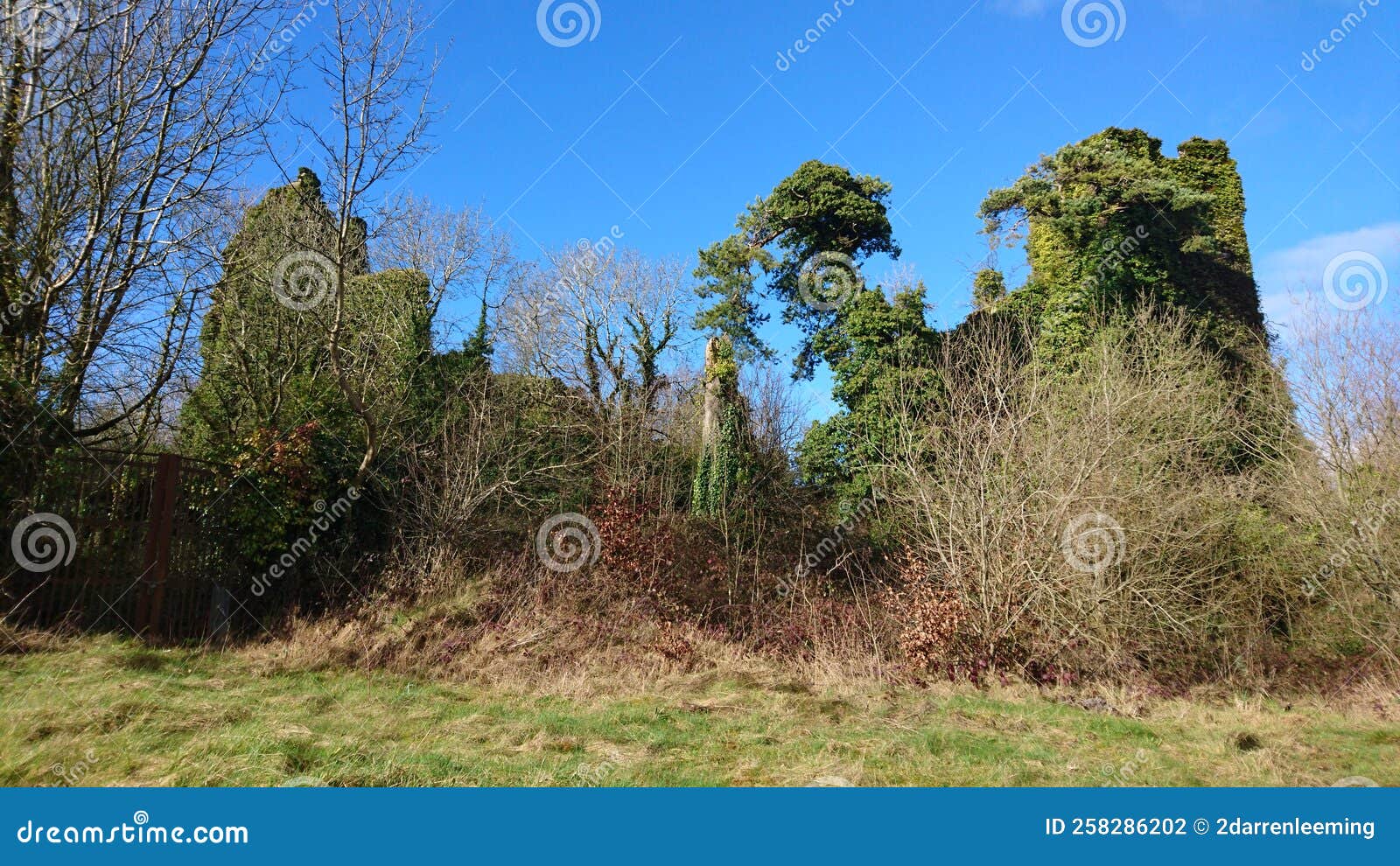 Overgrown Castle Ruin Summer Ireland Stock Photo - Image of hill, irish ...
