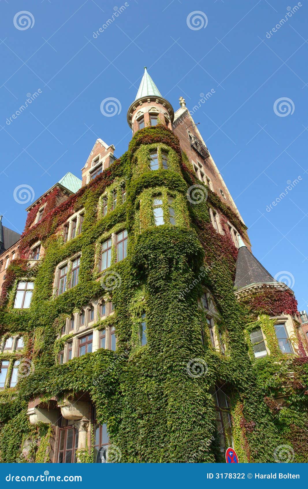 Overgrown historic house stock photo. Image of architecture - 3178322