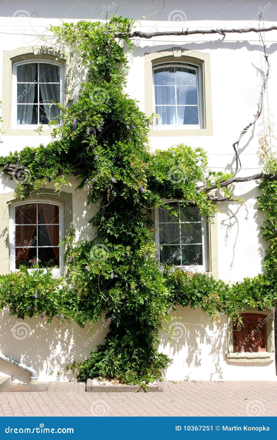 Overgrown house wall stock image. Image of detail, nature - 10367251