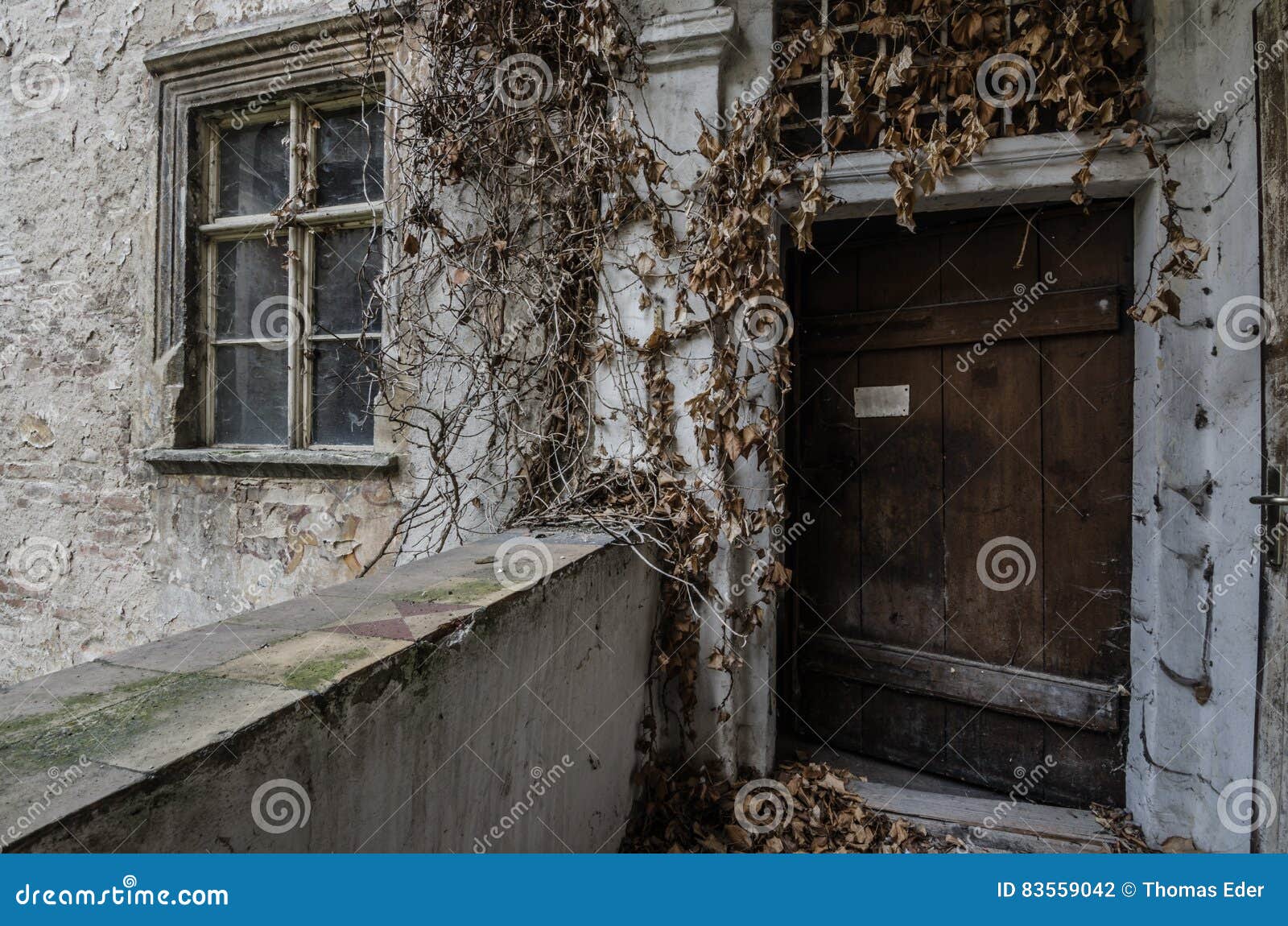Overgrown house wall stock photo. Image of leaving, urban - 83559042