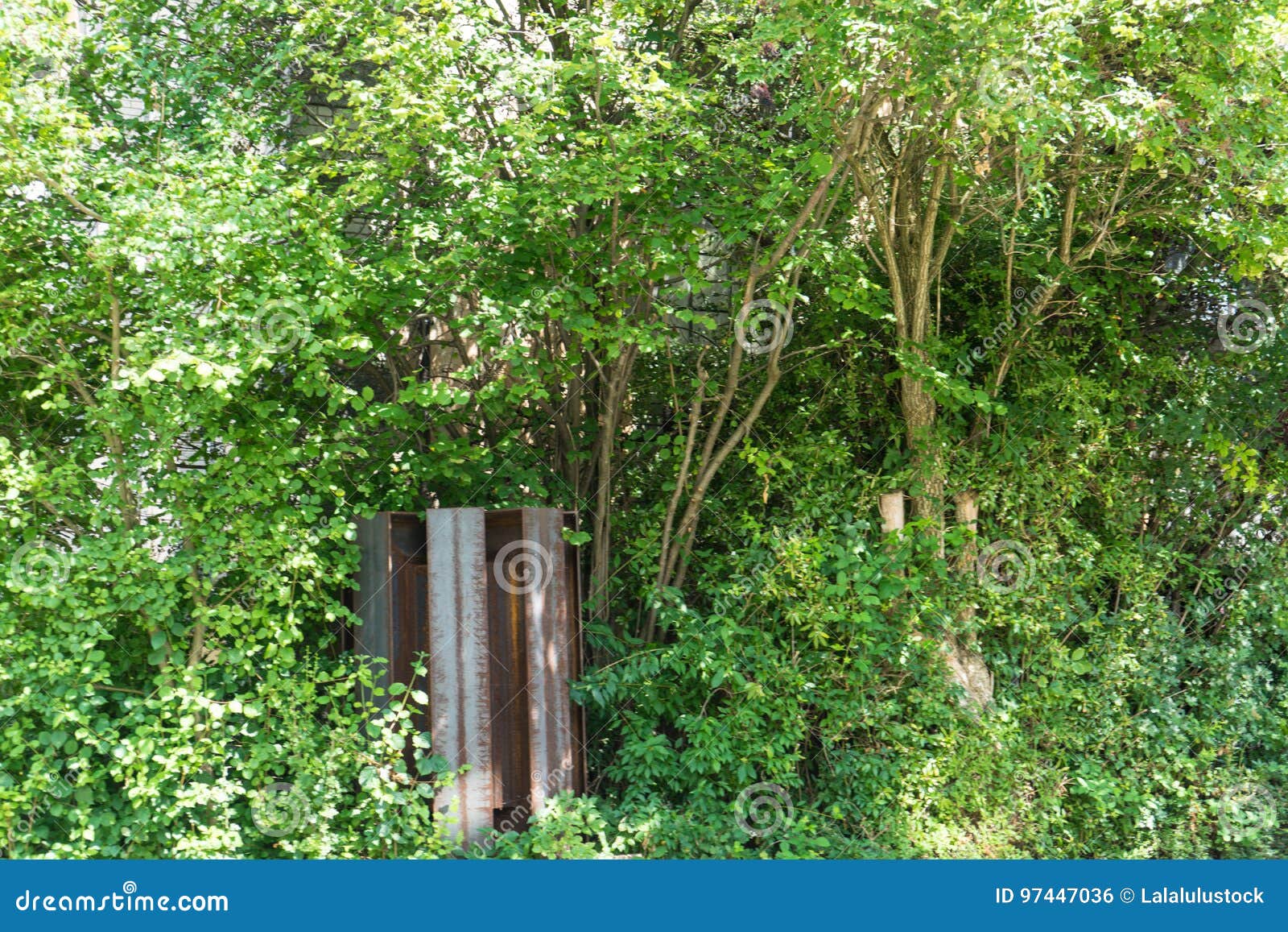 Overgrown hut at daylight stock photo. Image of cabin - 97447036