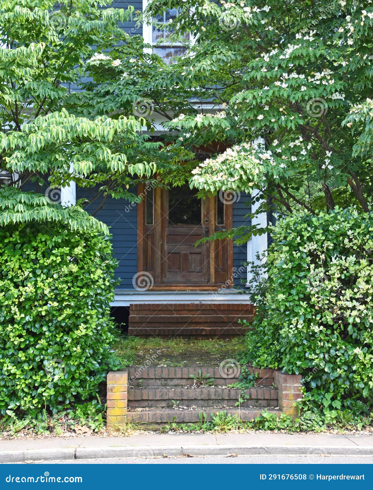 Overgrown Landscaping on Old Home Stock Photo - Image of trees, columns ...