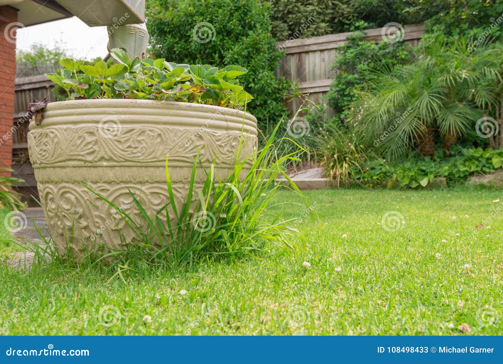 Overgrown lawn edge stock image. Image of grass, turf - 108498433