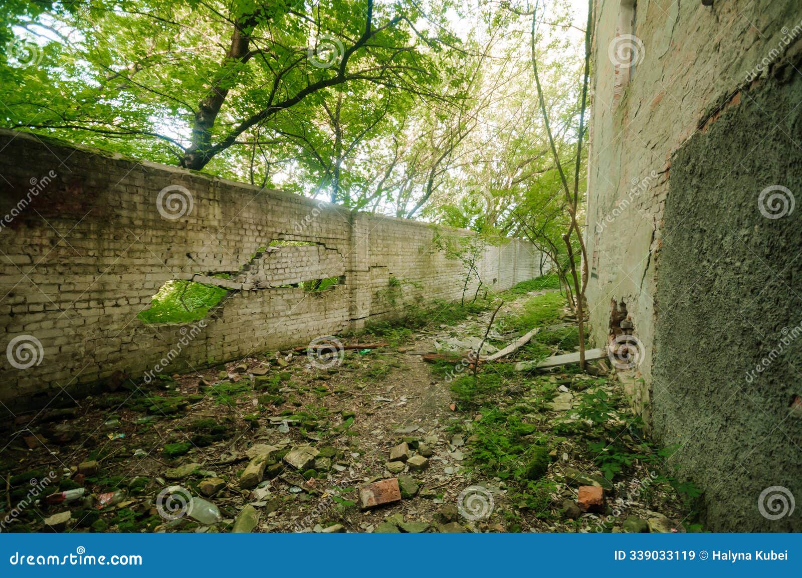 Overgrown Pathway through a Dilapidated Wall Surrounded by Lush ...
