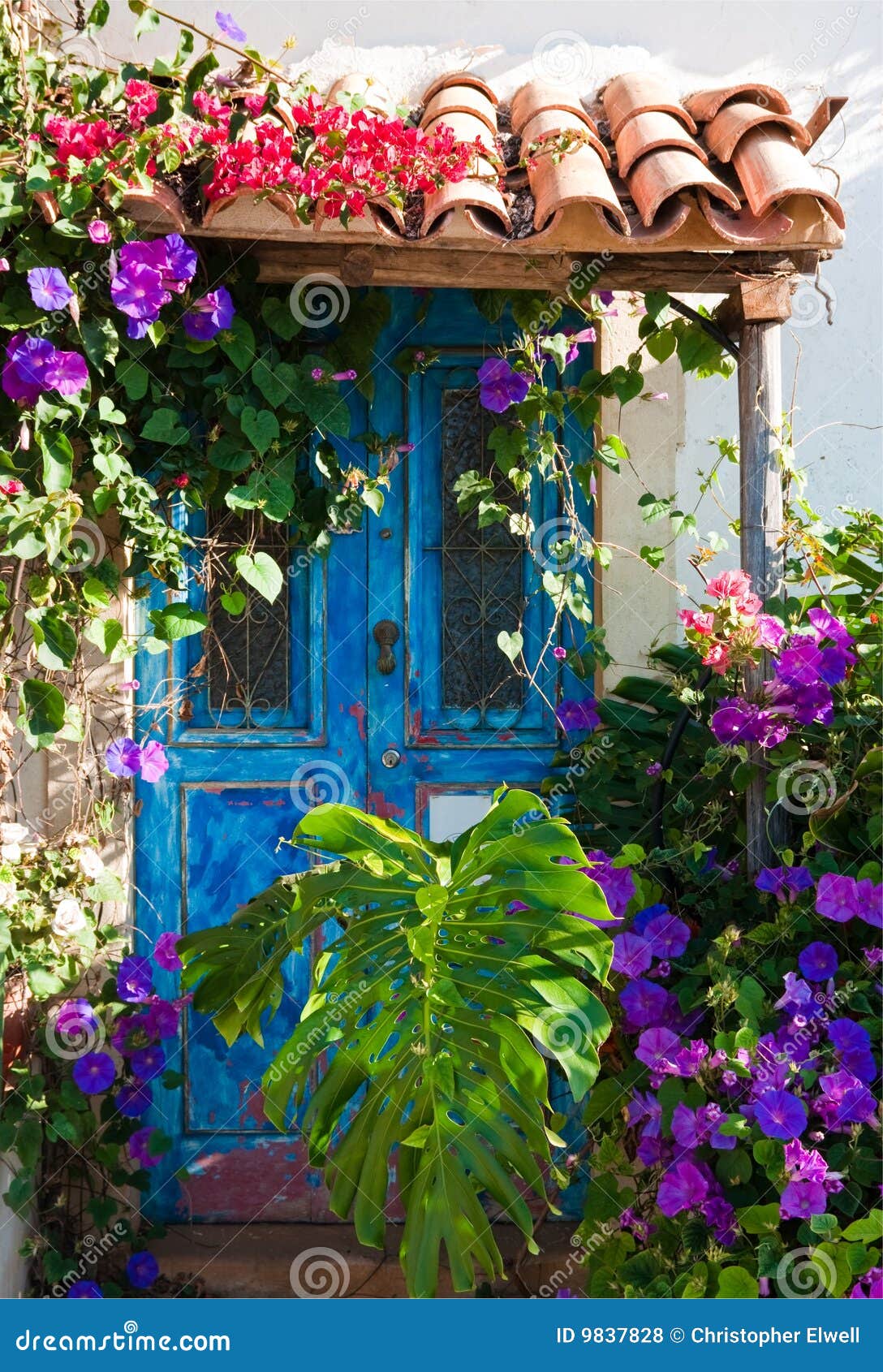 Overgrown Plants stock photo. Image of countryside, painted - 9837828