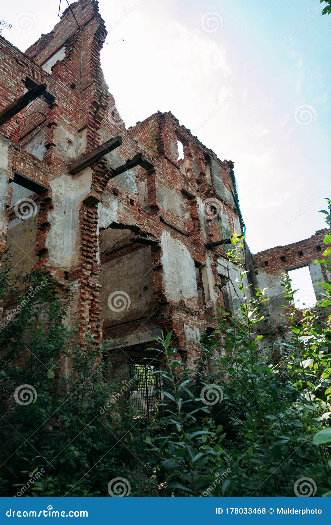 Overgrown by Plants Ruins of Abandoned Mansion Stock Photo - Image of ...