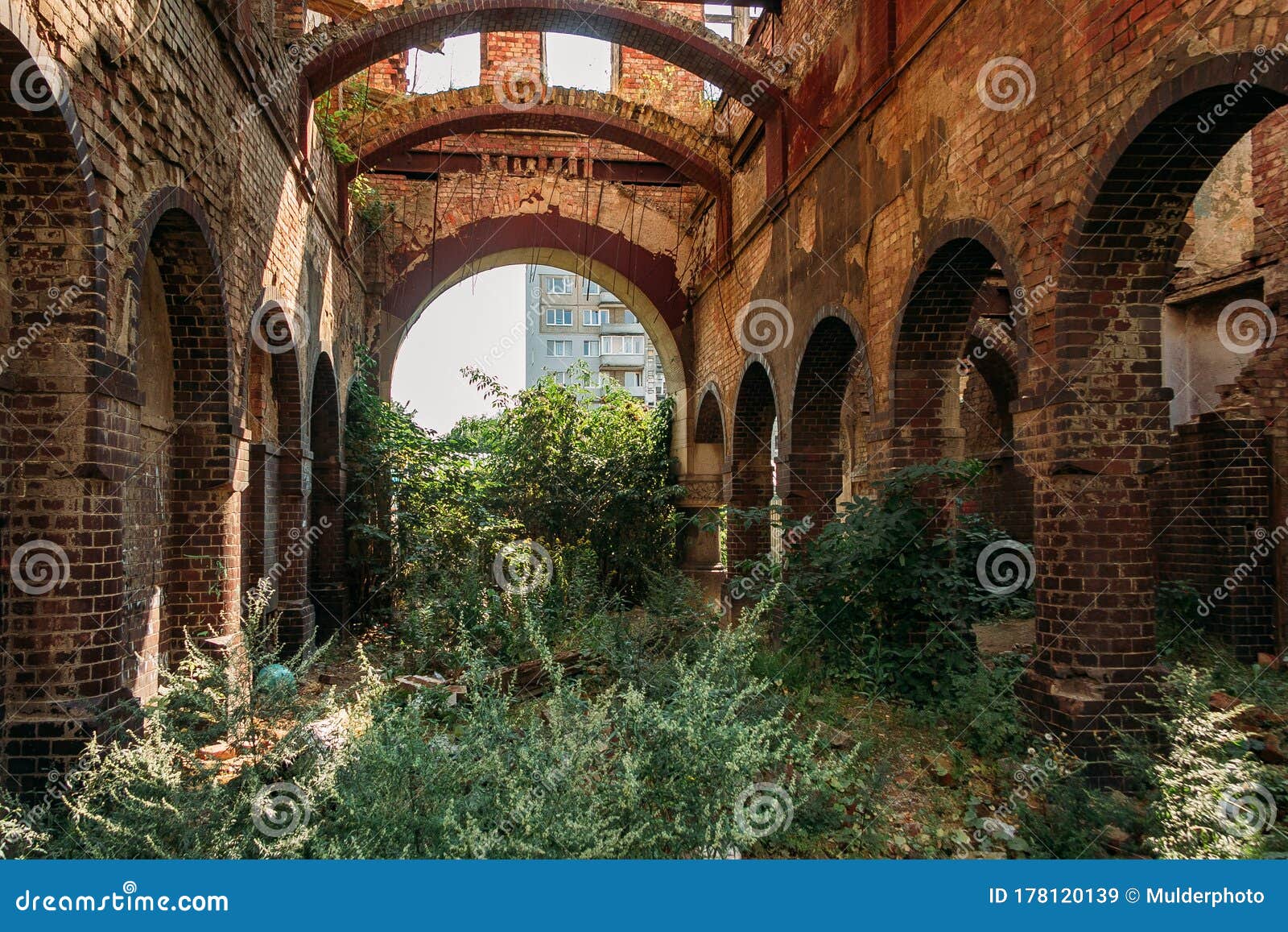 Overgrown by Plants Ruins of Abandoned Mansion Stock Image - Image of ...
