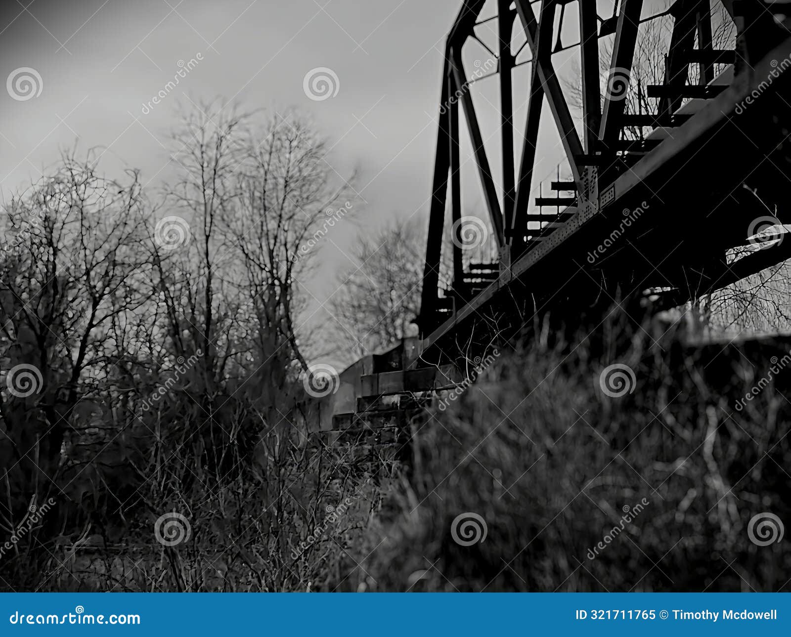 Overgrown rail bridge stock image. Image of black, transport - 321711765