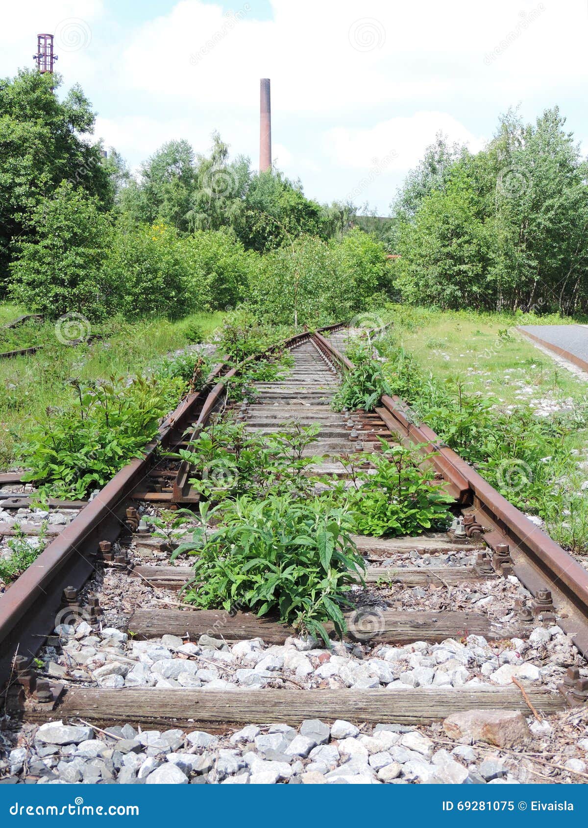 Overgrown railroad track stock image. Image of perspective - 69281075