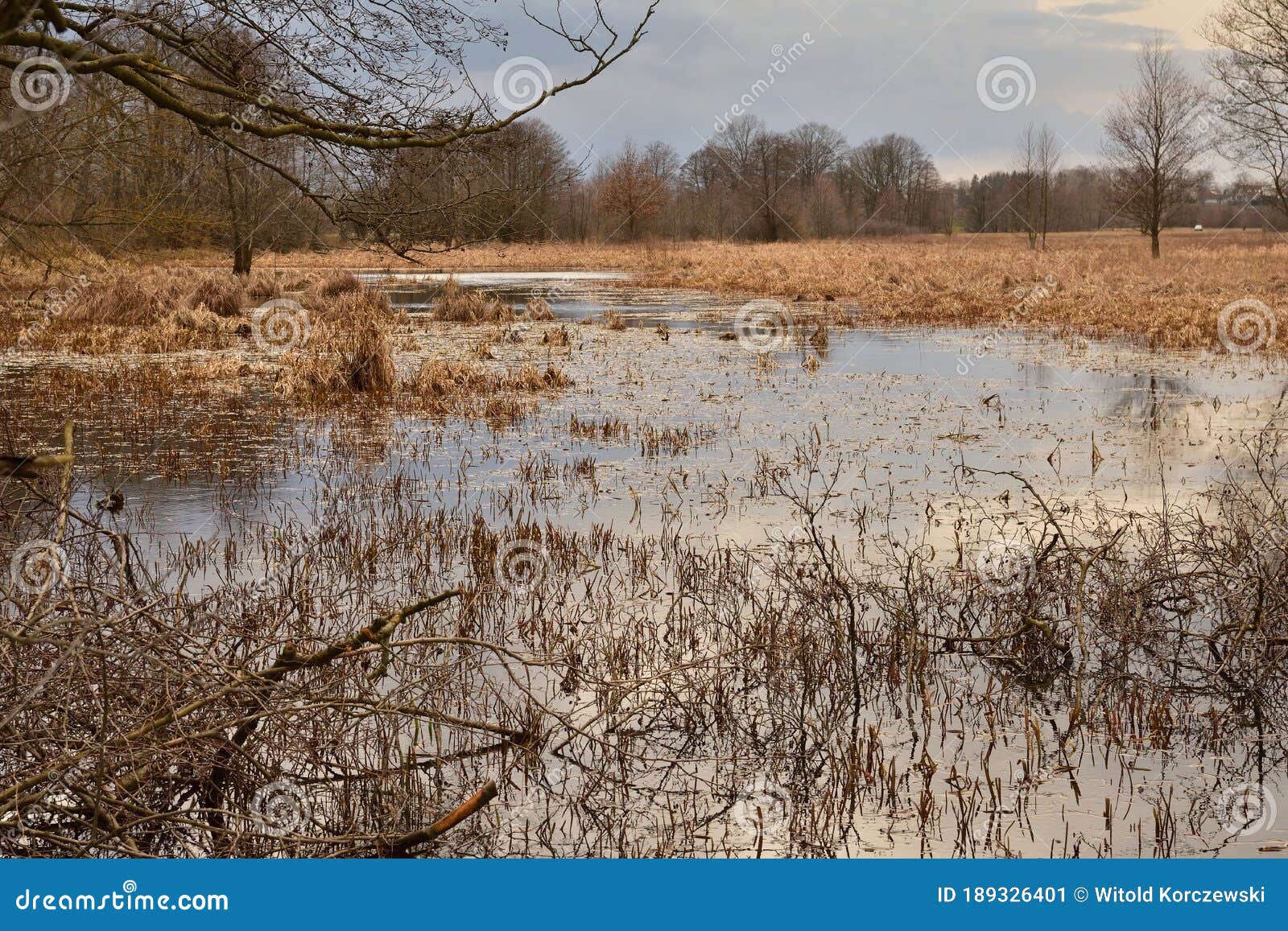 Overgrown River Bank and Clouds in the Sky on a Spring Day Stock Image ...