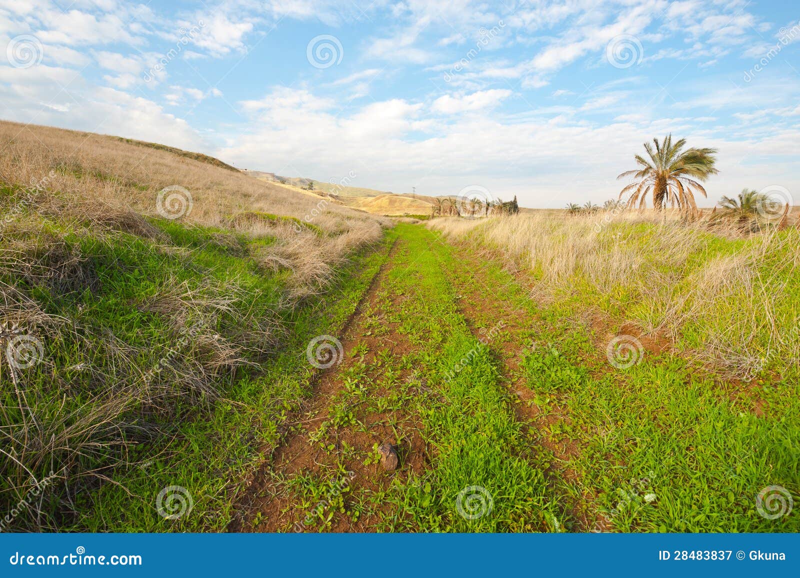 Overgrown Road stock image. Image of farmland, hill, growth - 28483837
