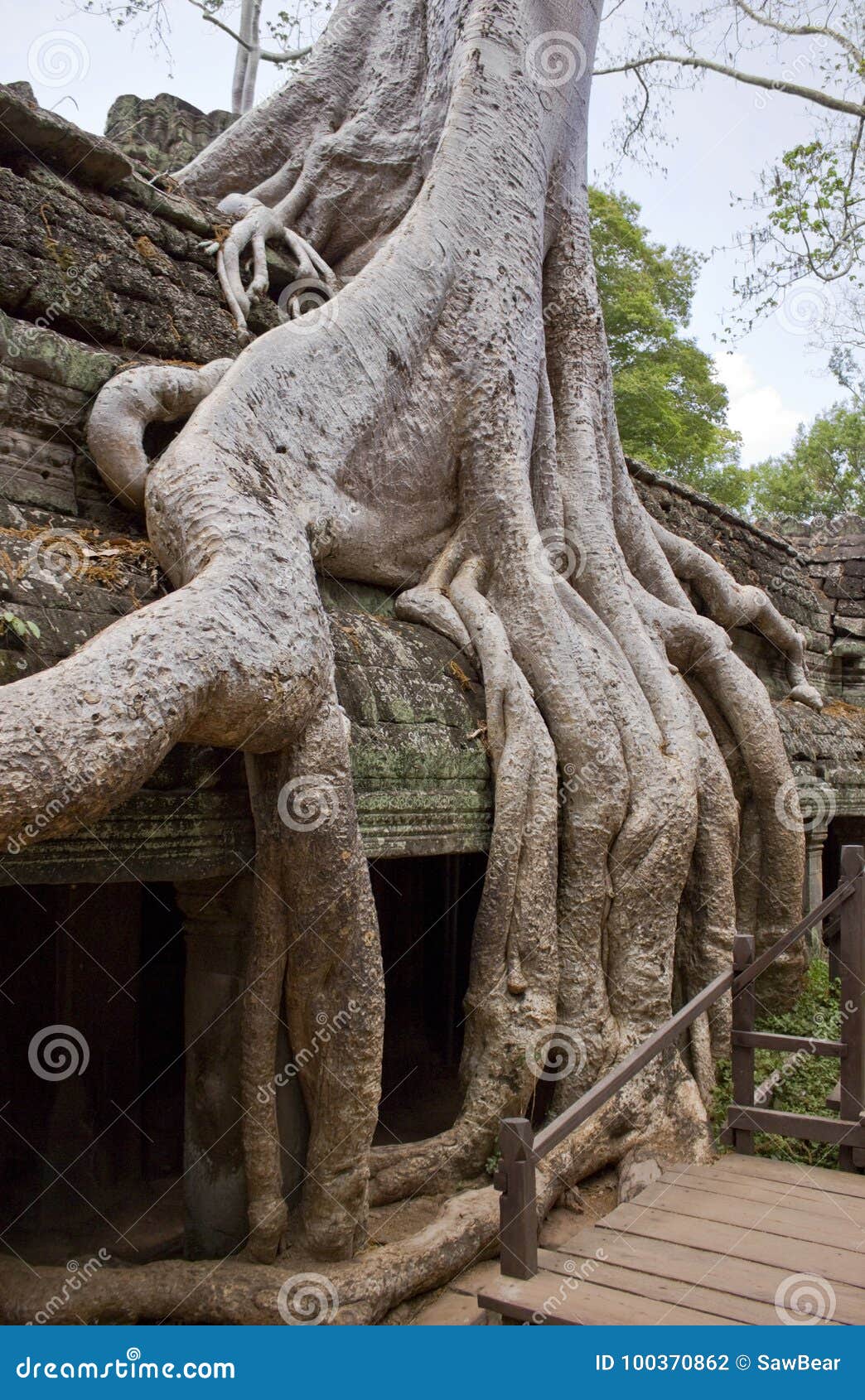 Spung Tree At Preah Khan Temple Royalty-Free Stock Photo ...