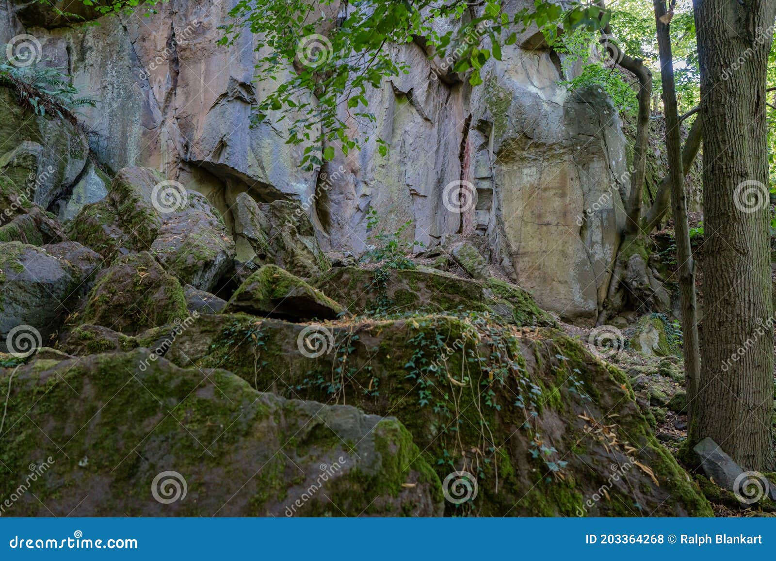 An Overgrown Stage in Front of Rock Wall in a Forest. Stock Photo ...