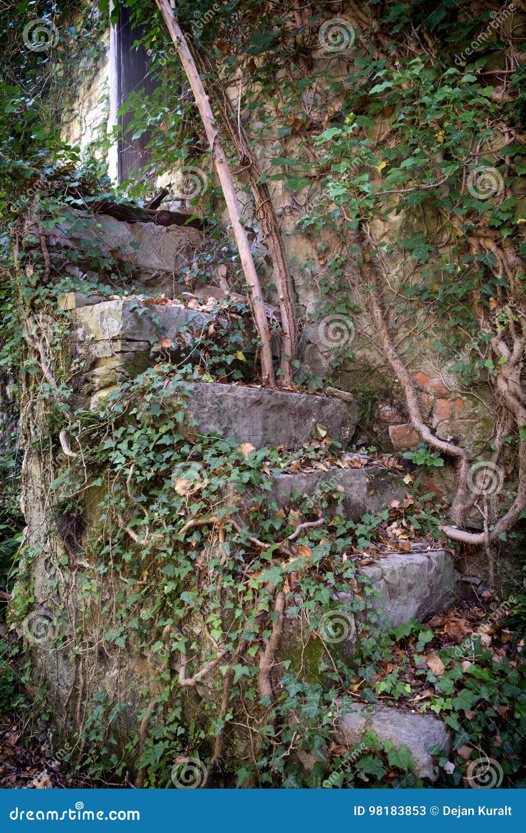 Overgrown steps stock image. Image of weeds, step, architecture - 98183853