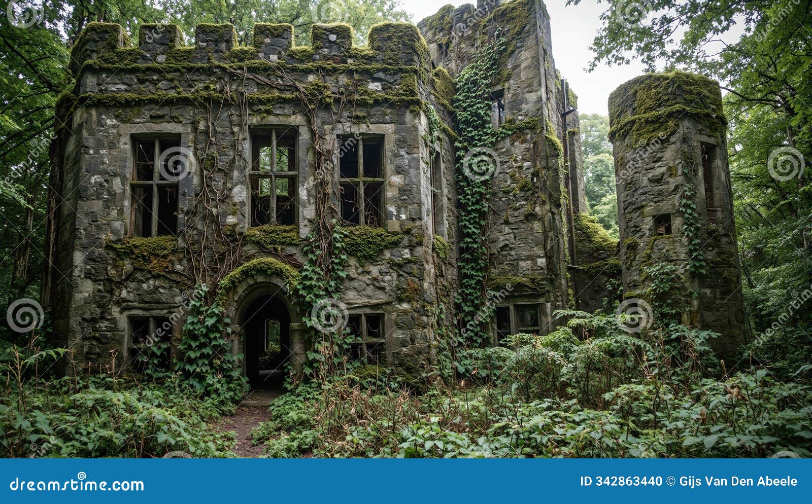Overgrown Stone Castle in Enchanted Forest Stock Illustration ...